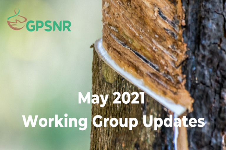 GPSNR Working Groups Update: May 2021 - Global Platform for Sustainable ... GPSNR Working Groups Update: May 2021 - Global Platform for Sustainable ...